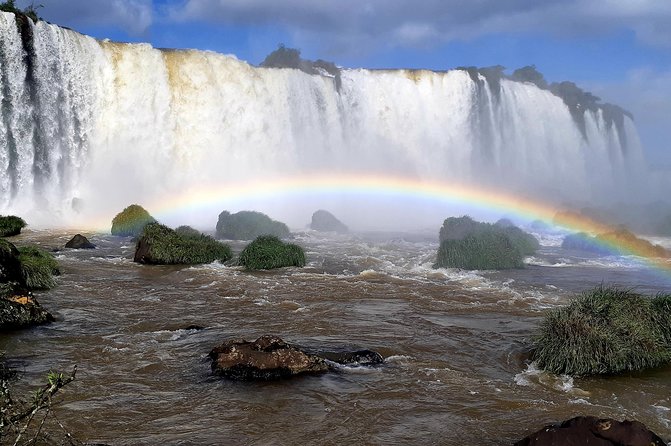 Private Transport With Guide to Brazil Falls + Bird Park - Discover the Iguassu Bird Park