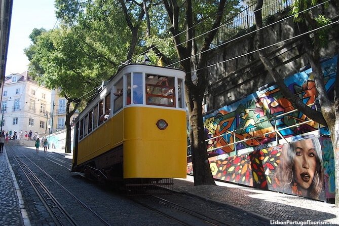 Private Walking Tour - Wandering Around Lisbon - Health and Accessibility Considerations