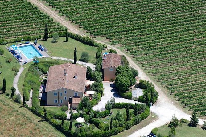 Private Wine Tour on the Magical Hills of Lucca (2 Wineries) - Guided Experience