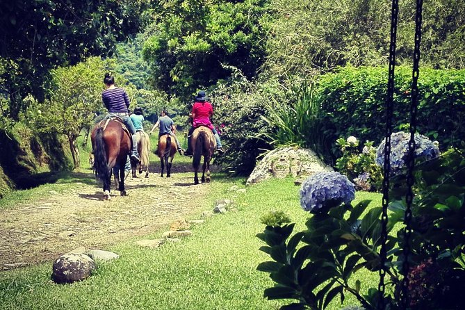 Queveri Horseback Riding Tours - Unique Selling Points