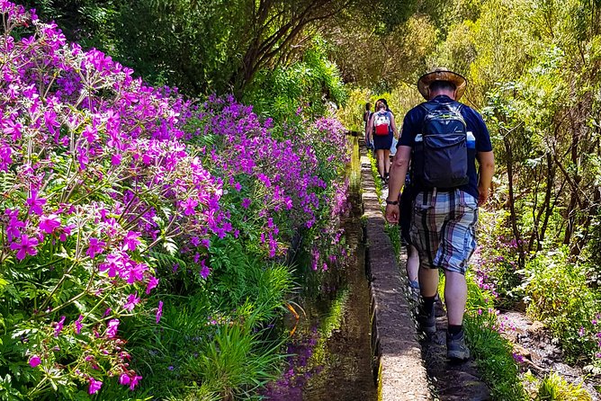 Rabaçal 25 Fontes Levada Walk in Small Groups - Guide Expertise and Safety Considerations