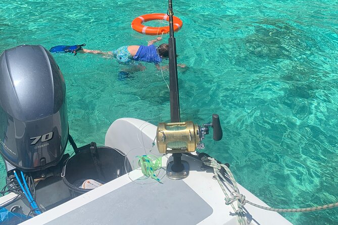 Reef Safari - Snorkeling, Fish Feeding & Lunch (Shared Day Trip) - Fish Feeding Experience