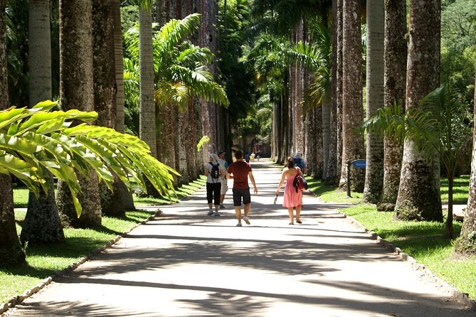 Rio De Janeiro Botanical Garden Tour - Plants and Wildlife of the Biosphere