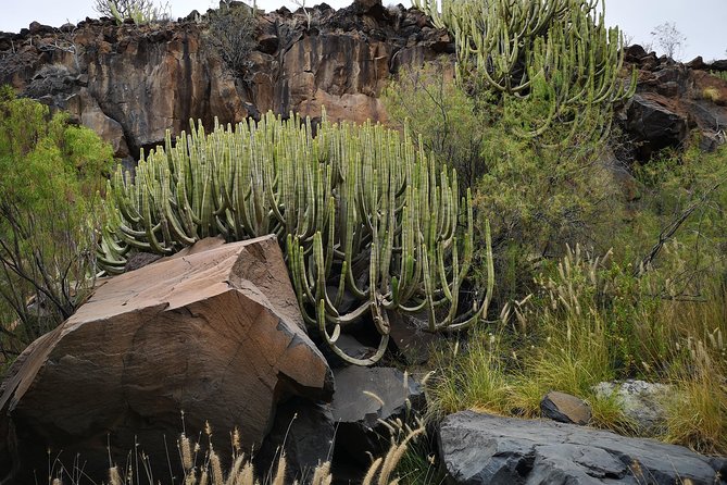 Rock Climbing in Natural Space. - Pricing and Booking Information
