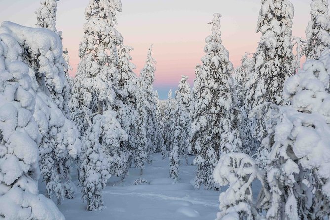 Rovaniemi Photography Tour - Whats Included in the Tour