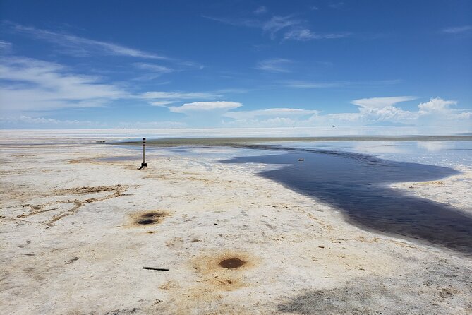 Salar De Uyuni Tours 1 Day - Pricing and Booking Information
