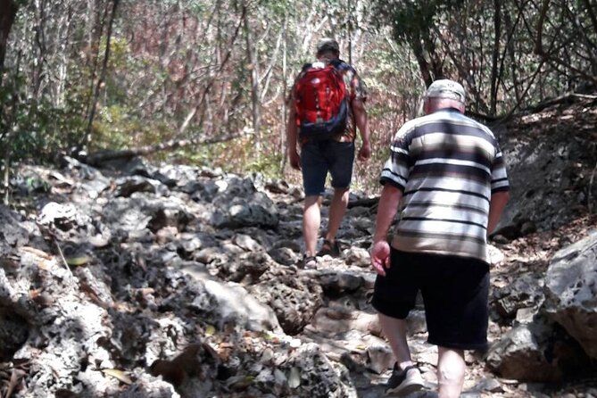 Sam Roi Yod National Park & Praya Nakhon Cave Join Group Tour - Final Thoughts: Who Will Love This Tour?