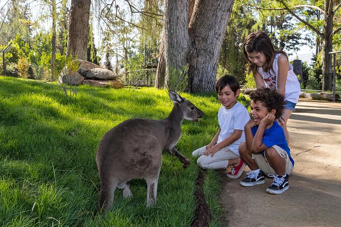 San Diego Zoo Safari Park 1-Day Pass: Any Day Ticket - Final Thoughts: Who Should Consider This Tour?