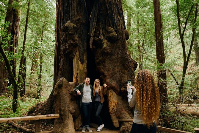San Francisco, Muir Woods, Sausalito and optional Alcatraz tour - Final Words