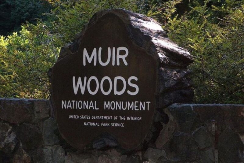 San Francisco: Muir Woods, Sausalito, and Tiburon Day Trip - Final Thoughts