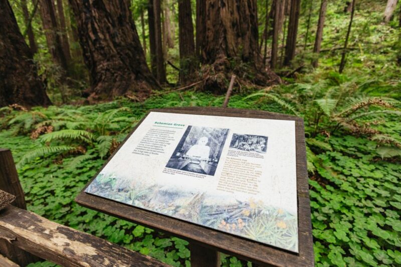 San Francisco: Muir Woods & Sausalito Tour with Ferry Option - Final Thoughts