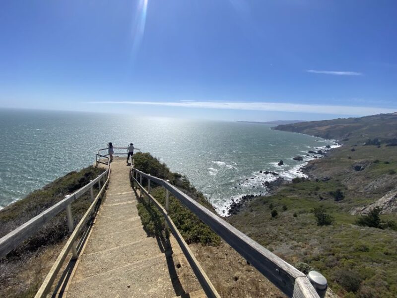 San Francisco Tour to Muir Woods Giant Redwoods & Sausalito - Exploring Sausalito: Artistic Charm and Bayside Views