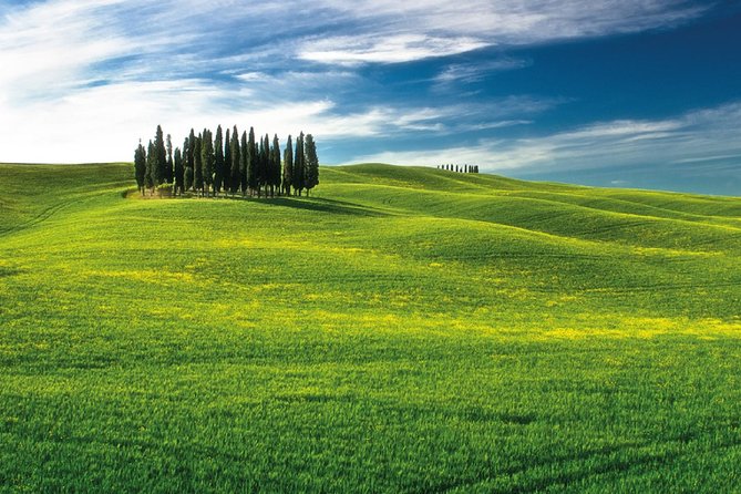 San Gimignano, Chianti, and Montalcino Day Trip From Siena - Discovering Monteriggioni