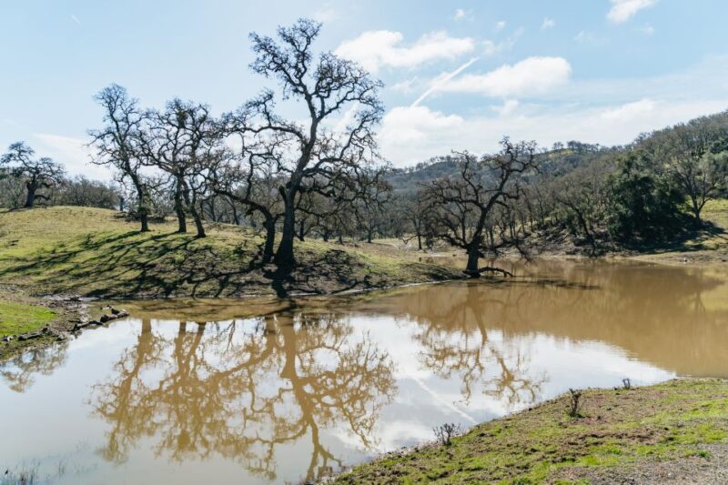 San Luis Obispo: Santa Lucia Guided Nature Tour - FAQ