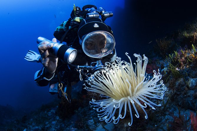 Scuba Diving in Calabria, Italy - Diving at Marina Di Gioiosa Ionica