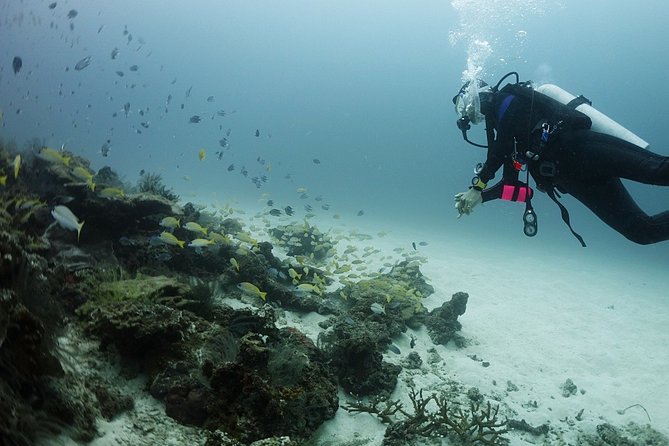 Scuba Diving in Phuket  Full-Day Trip (3 Dives, All Included) - Who Is This Tour Best For?