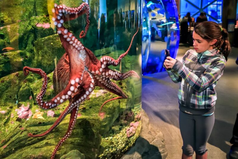 Seattle CityPASS®: Save up to 46% at 5 Top Attractions - Authentic Traveler Experiences