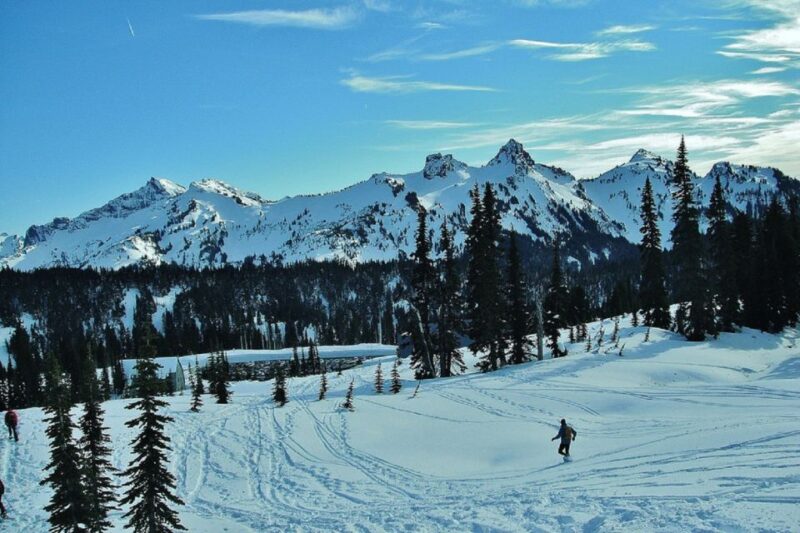 Seattle: Mount Rainier Park All-Inclusive Small Group Tour - The Lunch Experience