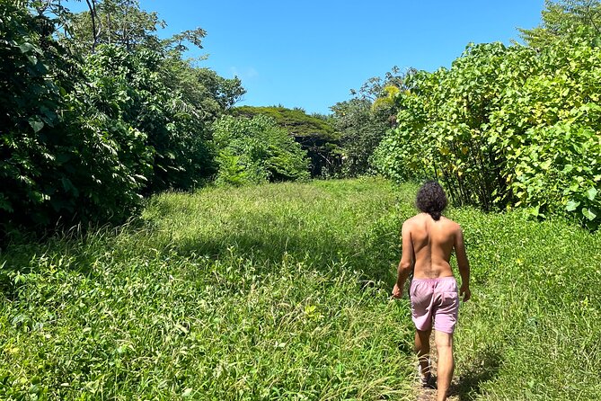 Secret Jungle Tide Pool Hike - Private - Preparation for the Hike