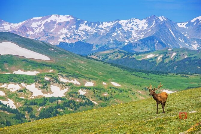 Self-Guided Audio Driving Tour in Rocky Mountain National Park - FAQs