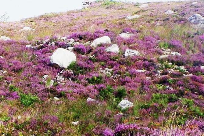 Self Guided Electric Bike Tour of Historical Sites in the Burren Co Clare - Pricing and Cancellation Policy