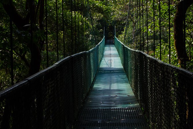 Selvatura Park Combo Tour From Monteverde - Customer Feedback