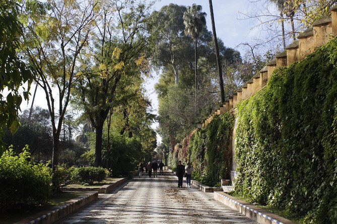 Seville Highlights: Private Family Guided Tour - Meeting and Pickup Details