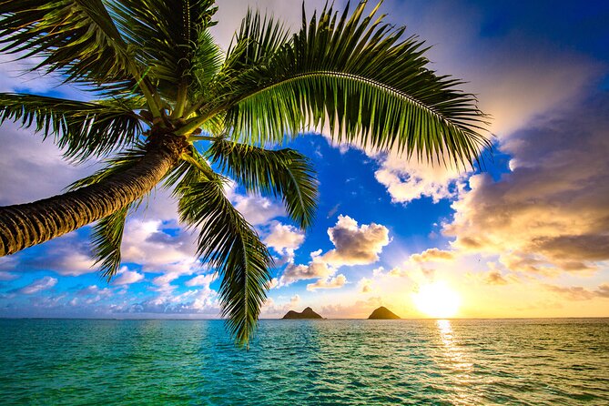 Shared Departure Transfer: Hotel to Maui Kahului Airport - The Sum Up