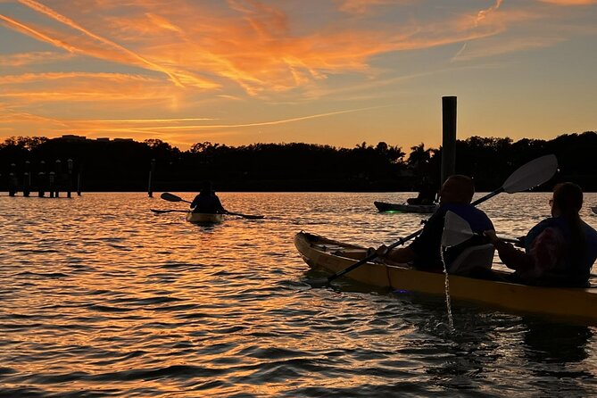 Sharkey's Glass Bottom Fish Feeding LED Night Tour in Sarasota - Practical Details: What You Need to Know