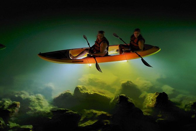 Sharkeys Glass Bottom Fish Feeding LED Night Tour St. Pete Beach - What to Expect During the Tour