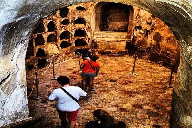 Shore Excursion: 4-Hour Cartagena Walking Tour - Private Tour Experience