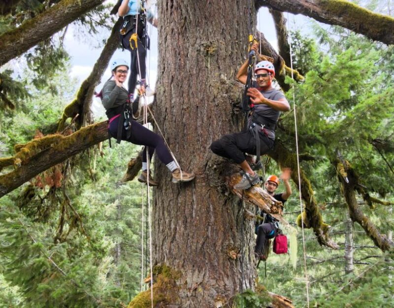 Silver Falls: Old-Growth Tree Climbing Adventure - Practical Tips