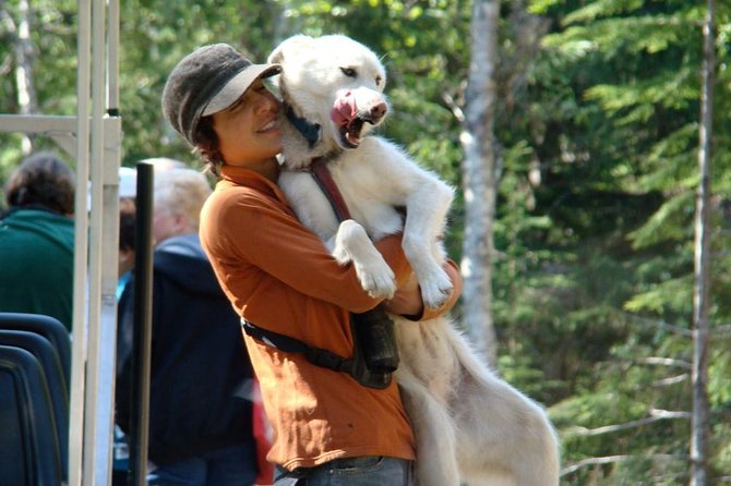 Sled Dog Adventure in Skagway - FAQs
