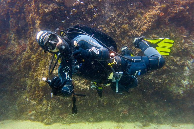 Small Group Diving Baptism in Girona - Booking and Cancellation Policy