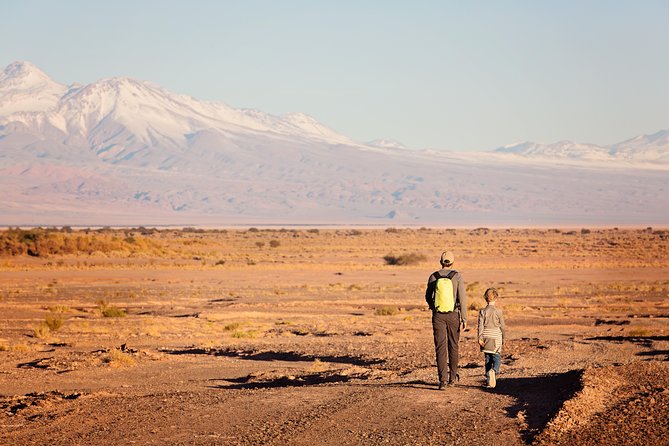 Small-Group Tour to Moon Valley From San Pedro De Atacama - Customer Feedback and Experiences