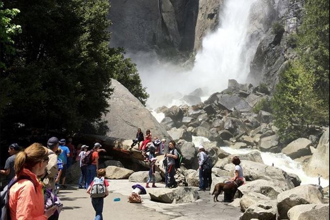 Small Group Yosemite and Giant Sequoias Day Trip from San Francisco - FAQ