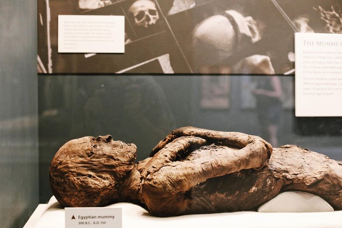 Smithsonian Museum of Natural History Guided Tour - Semi-Private 8ppl Max - Pricing and Availability