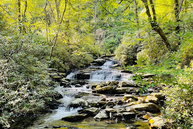 Smoky Mountains Newfound Gap Jeep Tour - Navigating the Tour Route