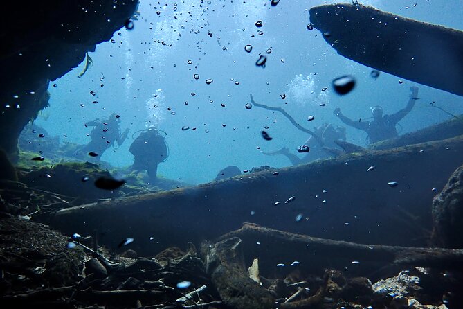 Snorkel Or Dive The Amazing Rainbow River Florida - Equipment Rental and Safety