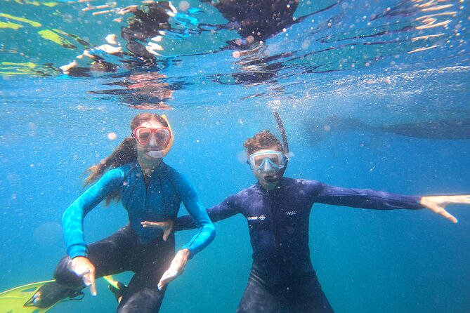 Snorkeling and Boat Tour in a Turtle Area - Meeting Point and Accessibility