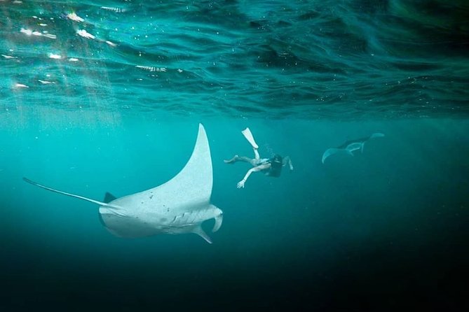 Snorkeling Manta Ray Safari in Nusa Penida - FAQ