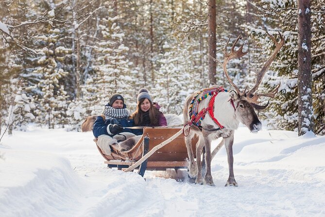 Snowmobile & Animals Day Tour - Requirements and Recommendations