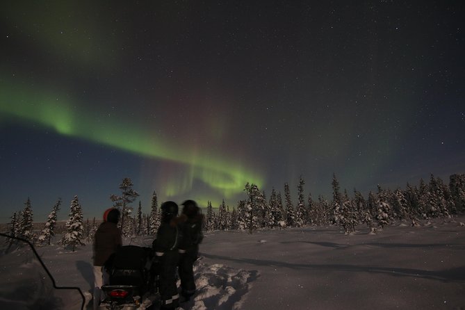 Snowmobile Aurora Expedition With Dinner - Traveler Reviews and Feedback