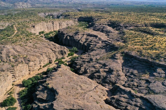 Sonoran Desert Jeep Tour - Final Thoughts
