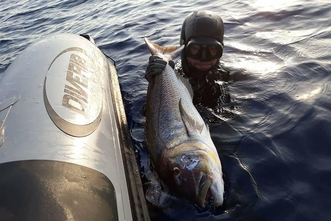 Spearfishing in Chania, Crete (Price Is per Group) - Group Type and Physical Requirements