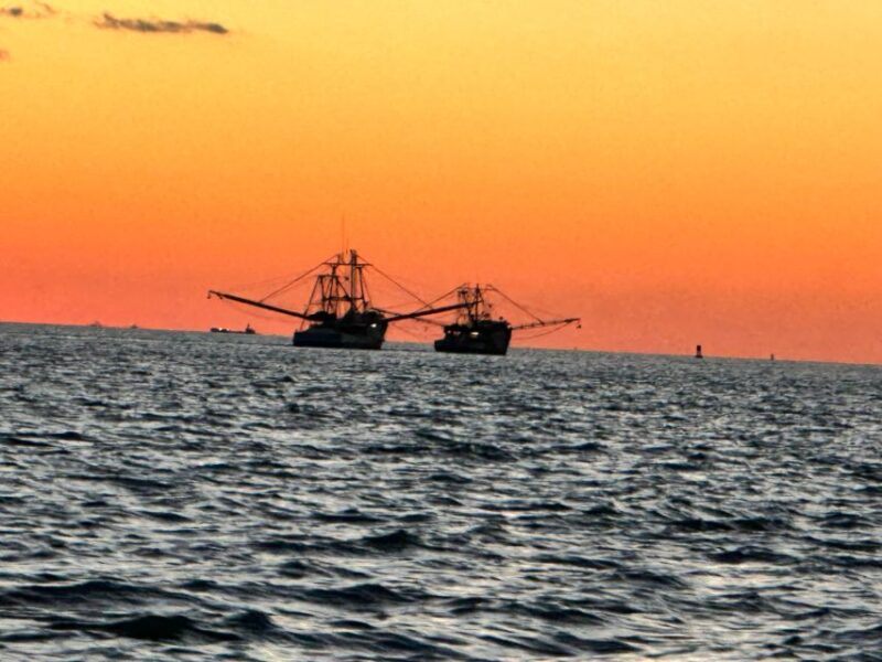 St. Petersburg, FL: Sunset & Skyway Bridge Lights Tour - Who Is This Tour Best For?