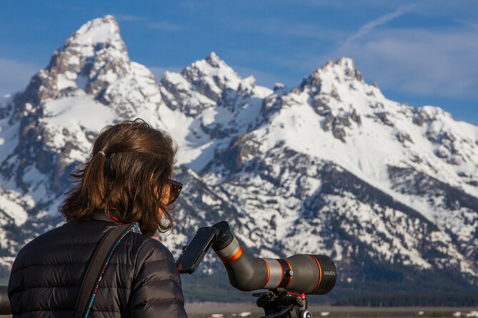 Sunrise 4-Hour Grand Teton Wildlife Adventure - Price and Value: Is It Worth It?