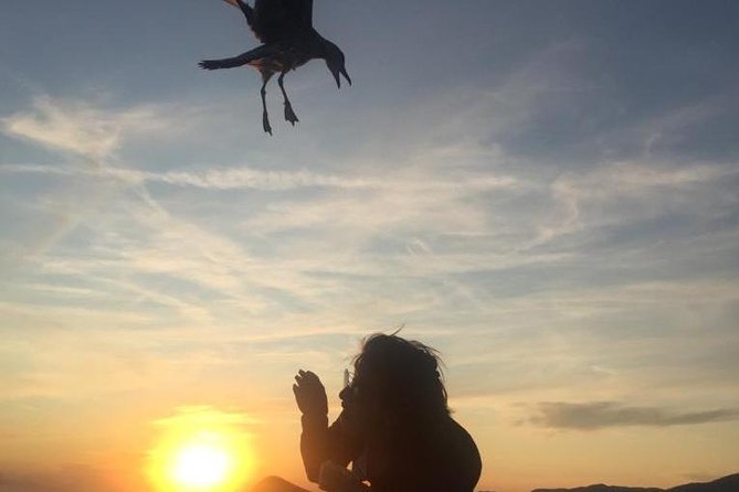 Sunset Boat Tour to Cinque Terre With Aperitif on Board - Customer Reviews and Experiences