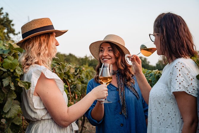 Sunset Wine Tasting in Vineyard - Engaging Stories From the Vineyard Owner
