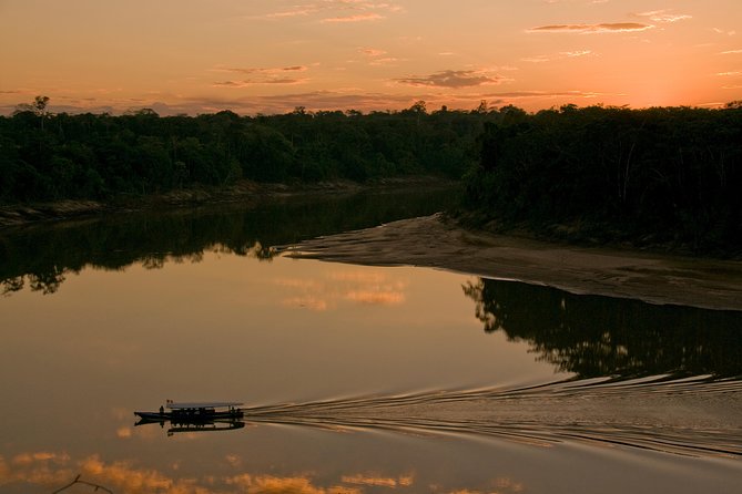 Tambopata Jungle Adventure Tour 4 Days - Guided Excursions and Activities